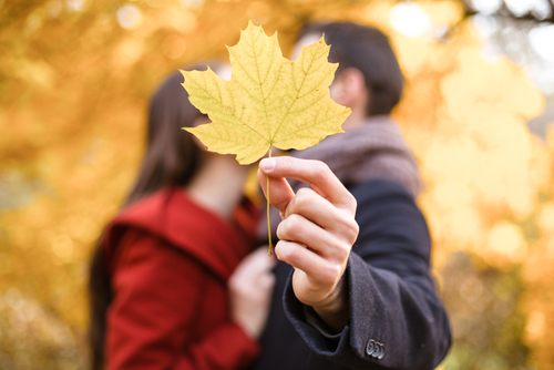 🌍🔥 [V117.2] MapleStory – שרת גלובלי | פתיחת בטא בקרוב! 🔥🌍 - FXP